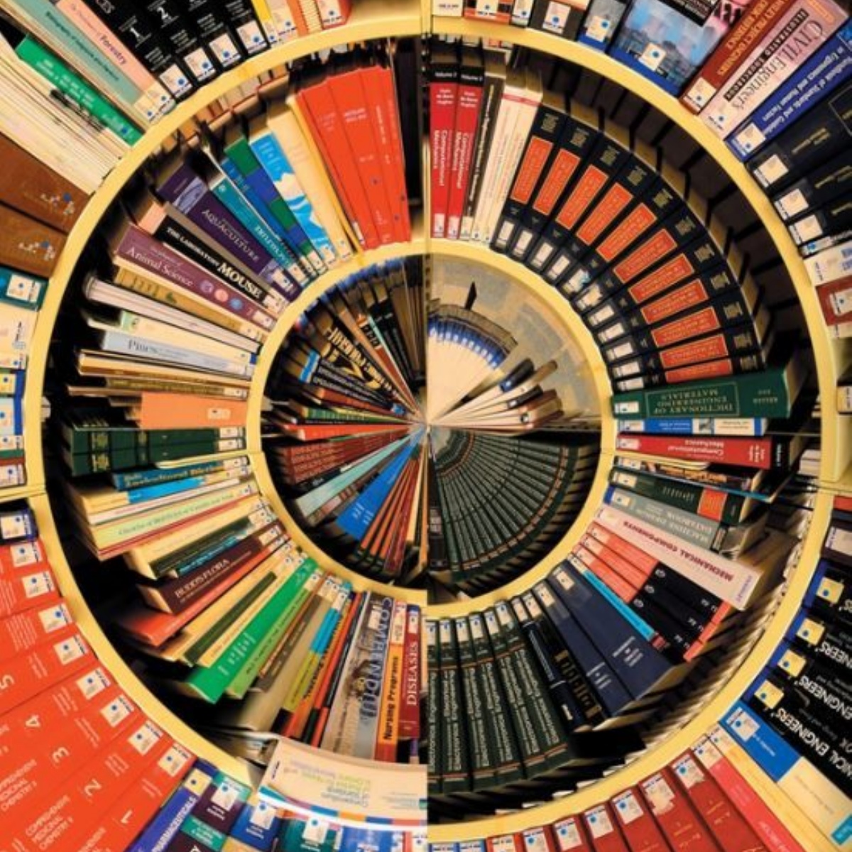 Royal Grammar School - Anything Good