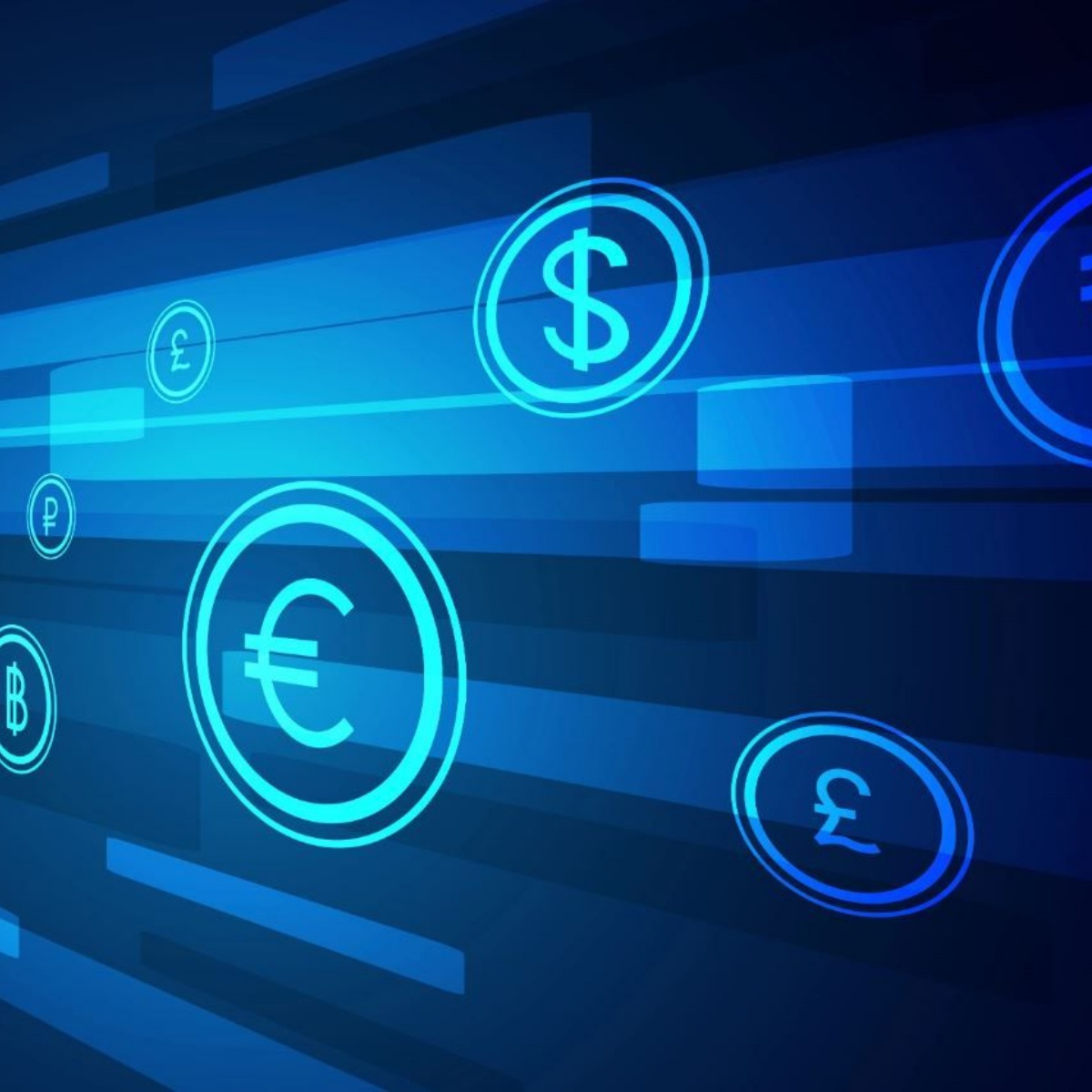 Royal Grammar School - The Digital Great British Pound - Vedin Singh