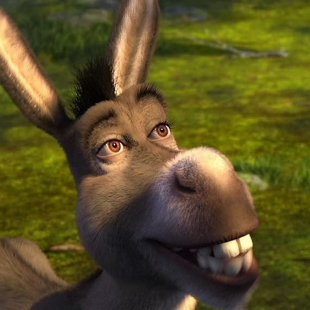 Royal Grammar School - Item Not Available