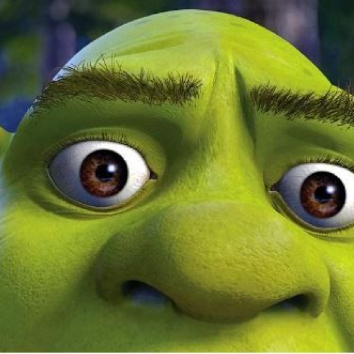 Royal Grammar School - Item Not Available