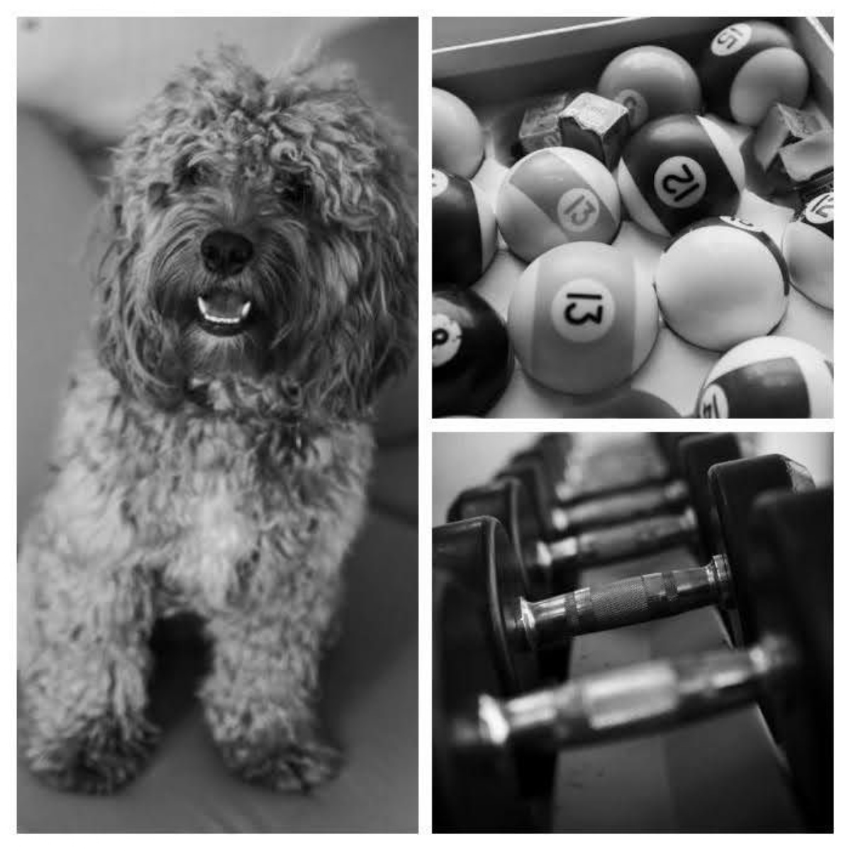 Royal Grammar School - Take a mate on a date